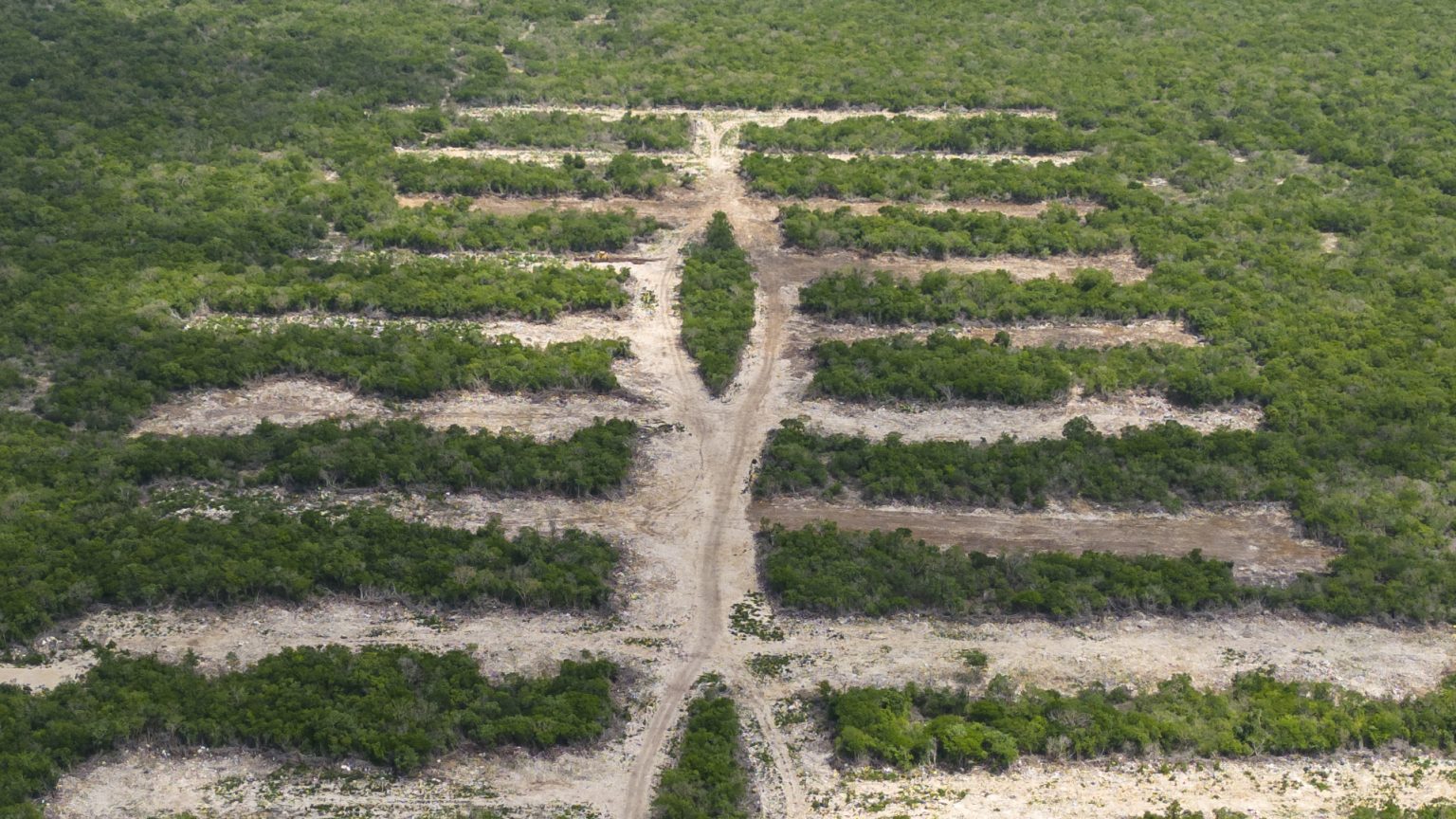 Avances de obra - Grupo Colorines